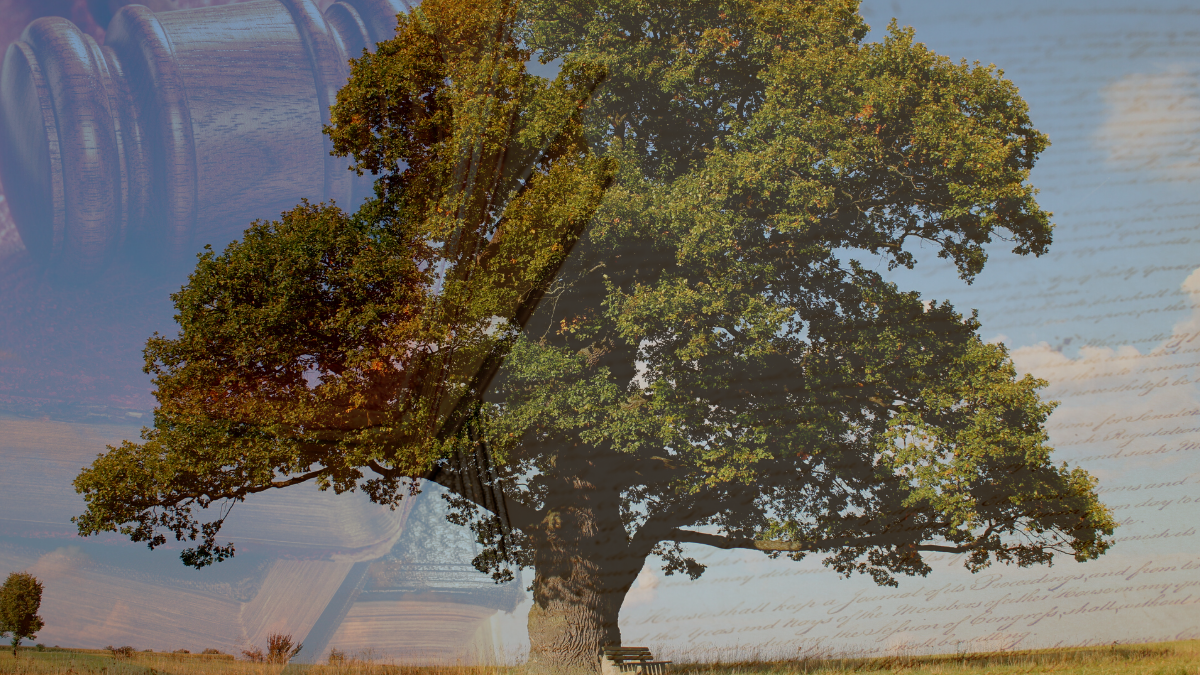 Print Money from Your Family Tree with a Family Charter - Franklin ...